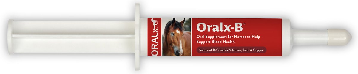Oralx B Paste | www.equibasics.com
