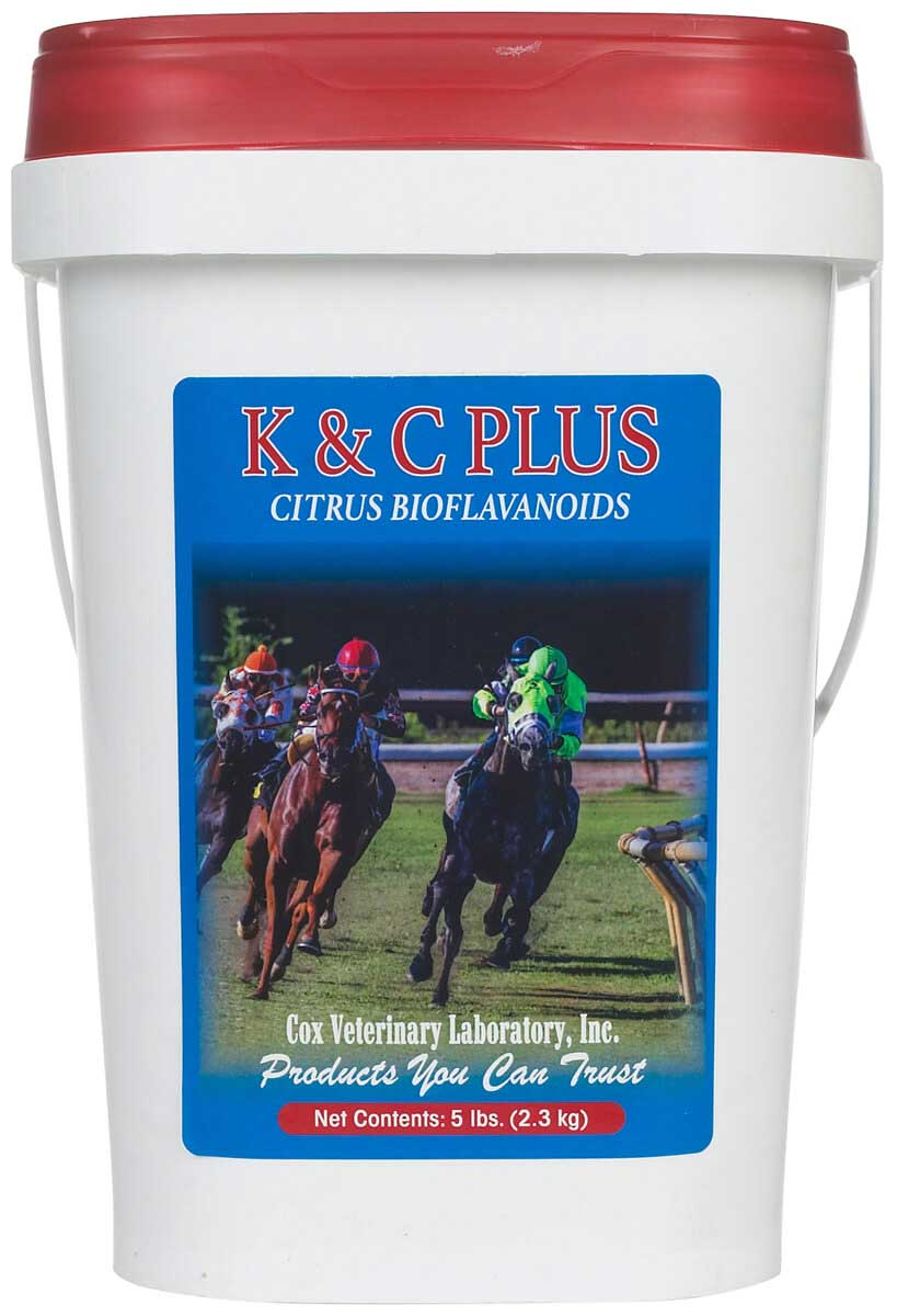 K&C Plus powder 5LB | www.equibasics.com